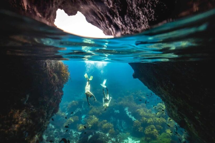 Auckland: Guided Snorkeling and Island Exploration Tours - Key Points
