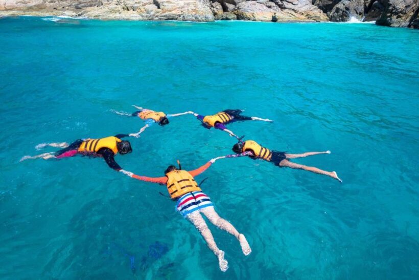 Auckland: Guided Snorkeling and Island Exploration Tours - An Authentic Marine and Birdlife Adventure