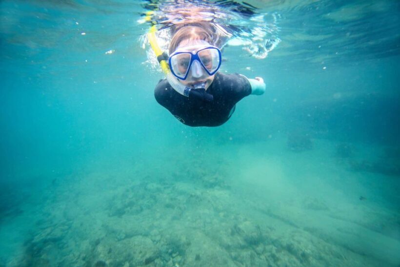 Auckland: Guided Snorkeling and Island Exploration Tours - Practical Details and Tips
