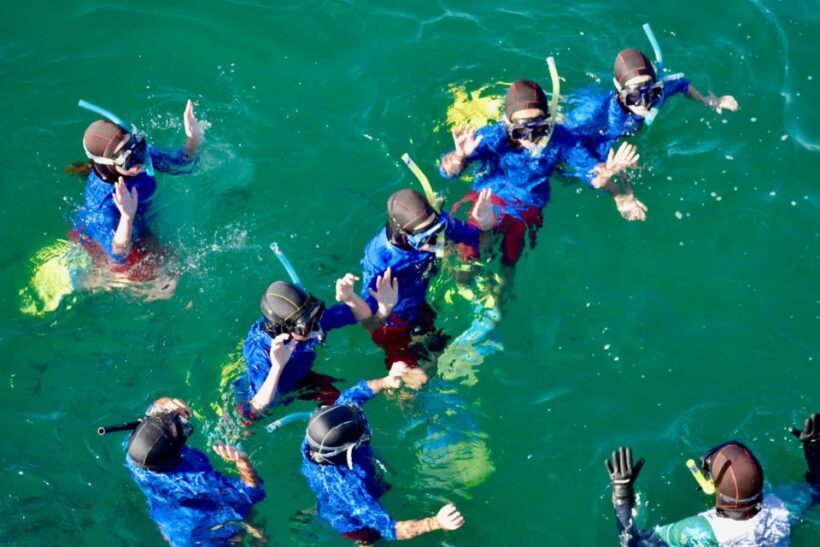 Auckland: Guided Snorkeling and Island Exploration Tours - The Sum Up