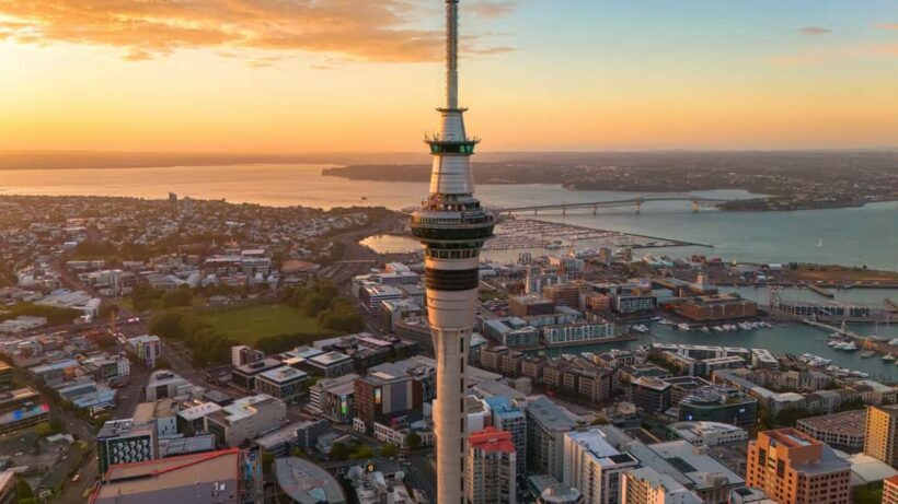 Auckland Half Day Attractions and Museums Tour - What the Tour Includes and How It’s Structured