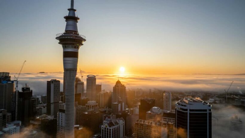 Auckland Half Day Attractions and Museums Tour - What to Expect and Practical Considerations