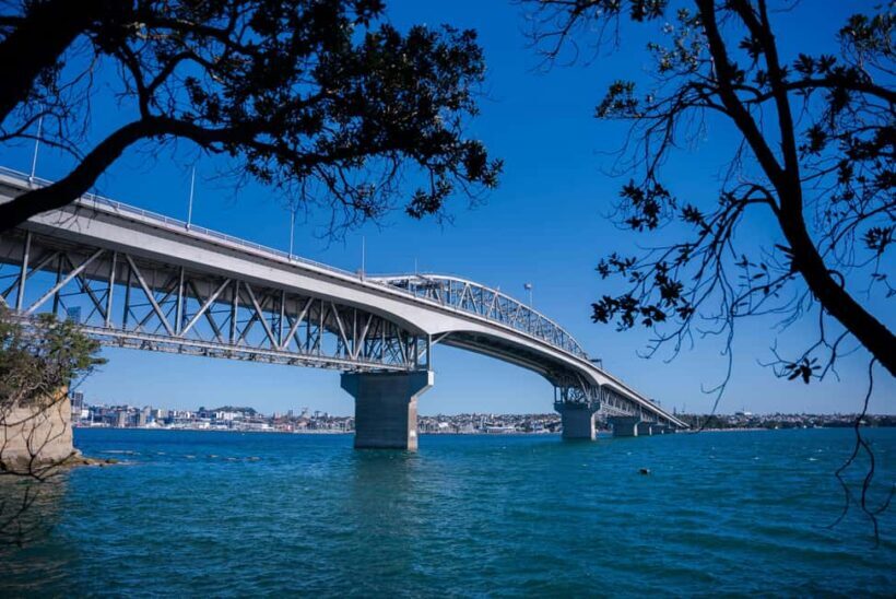 Auckland Half Day Attractions and Museums Tour - Authentic Traveler Feedback