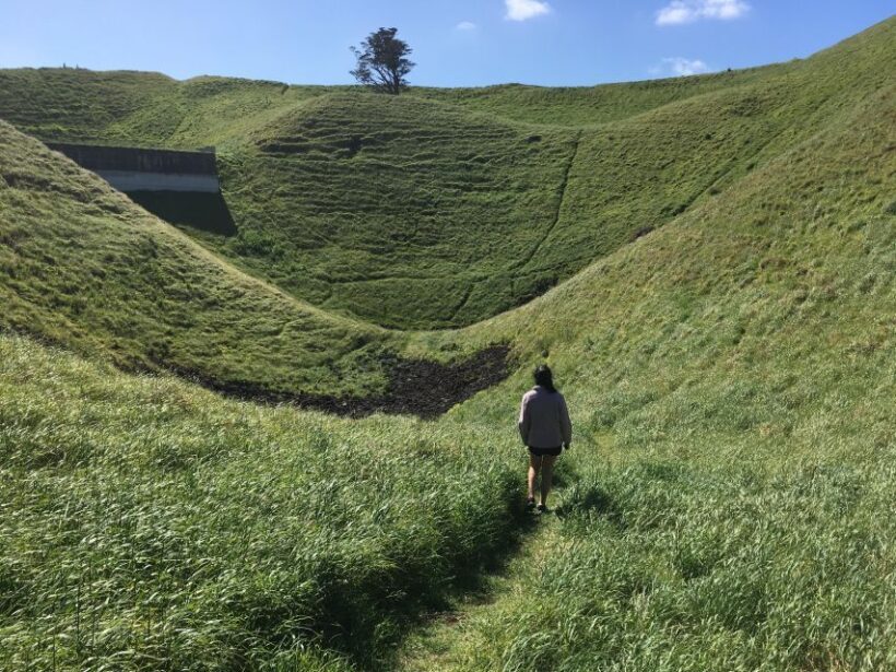 Auckland: Half-Day Auckland Volcanoes Tour - Authentic and Educational Experience