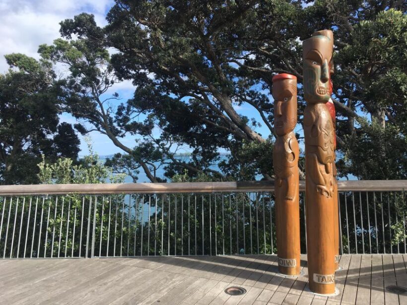 Auckland: Half-Day Auckland Volcanoes Tour - Who Should Consider This Tour?
