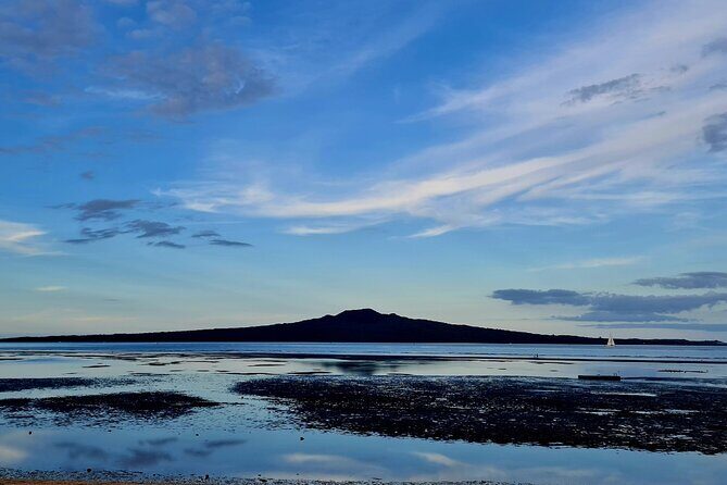 Auckland Half Day City Tour - Heart of Auckland - FAQs