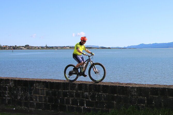 Auckland Half Day E-Bike Excursion - Who Should Consider This Tour?