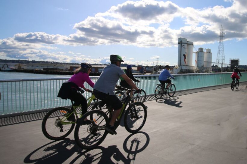 Auckland Half-Day Ebike Tour Excursion - What You Should Know Before Booking