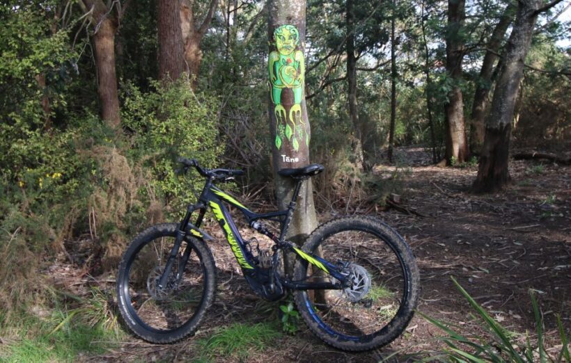 Auckland Half-Day Ebike Tour Excursion - FAQ