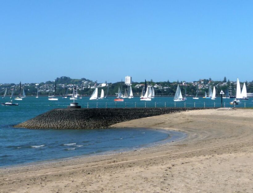Auckland: Half-Day Private City Highlights Tour - Introduction: A Great Introduction to Auckland’s Unique Charm