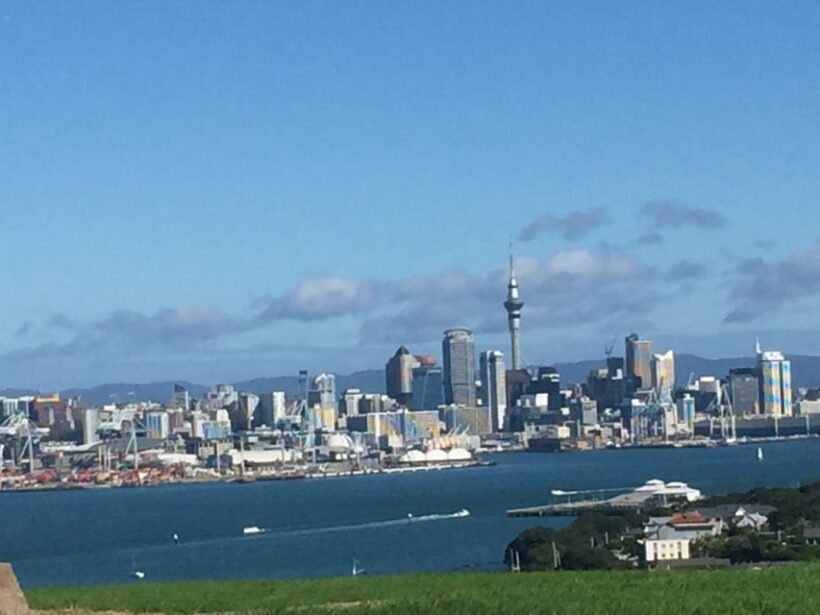 Auckland: Half-Day Private City Highlights Tour - Practical Details and Comfort