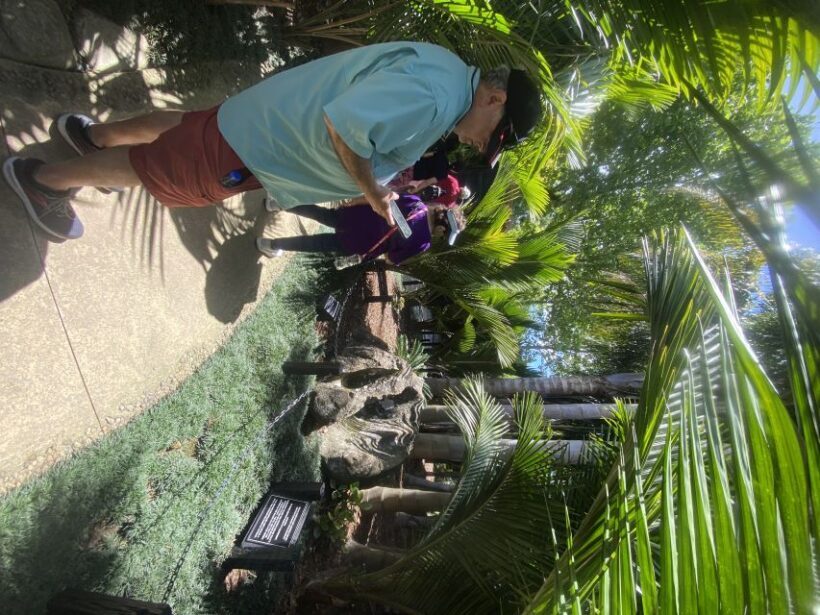 Auckland: Half-Day Private City Highlights Tour - Authentic Experiences and Authenticity