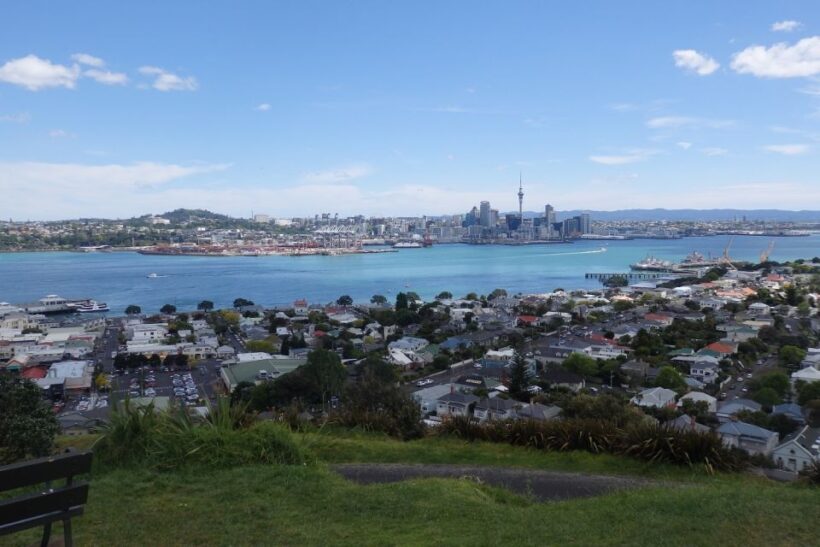 Auckland: Half-Day Scenic Sightseeing Tour - Price & Value Analysis