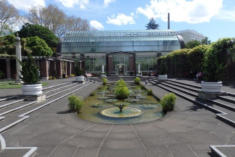 Auckland: Half-Day Scenic Sightseeing Tour - Who Will Enjoy This Tour?