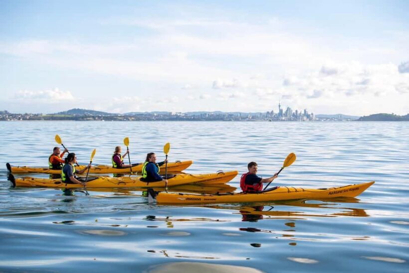 Auckland: Half-Day Sea Kayak Tour to Motukorea Island - Key Points