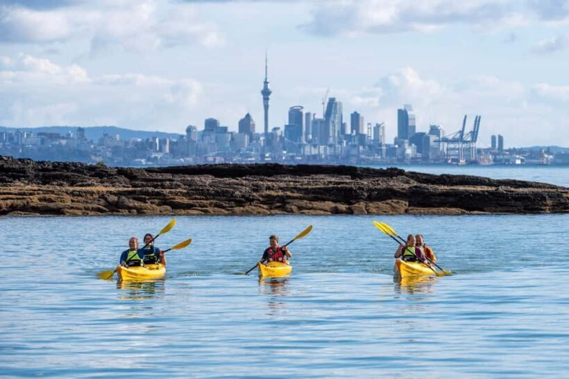 Auckland: Half-Day Sea Kayak Tour to Motukorea Island - An In-Depth Look at the Experience