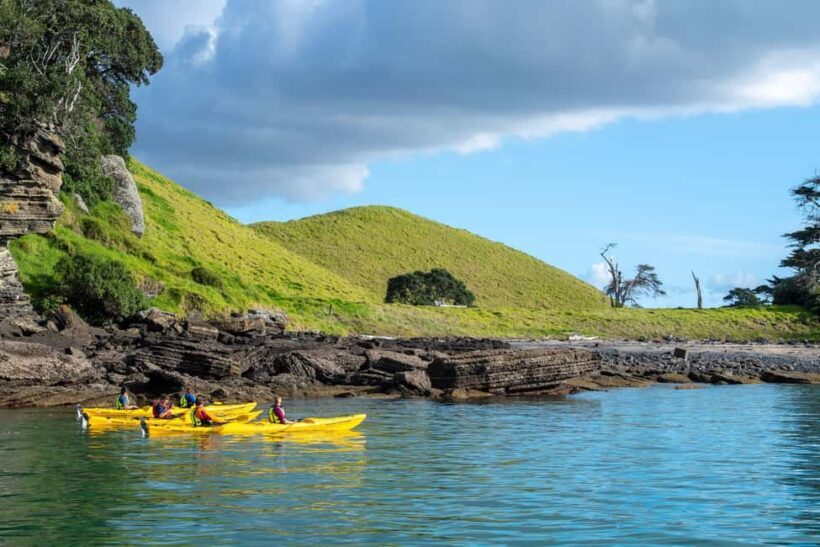 Auckland: Half-Day Sea Kayak Tour to Motukorea Island - Cost and Value Analysis