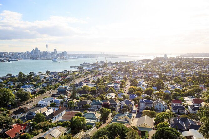 Auckland Half Day Tour - See the Most Famous Attractions - Exploring Auckland in a Luxury Van: The Big Picture