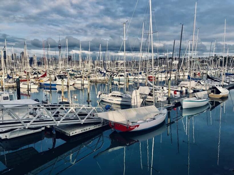 Auckland Half Day Tour Through Urban Wonders - Who Will Enjoy This Tour?