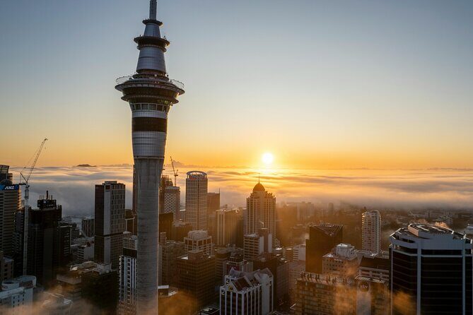 Auckland Half Day Tour Through Urban Wonders - Who’s It Best For?