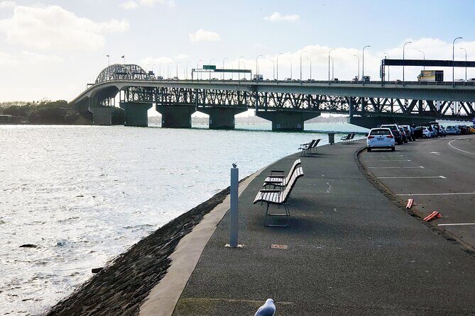Auckland Halfday Private Guided Tour - What Does the Tour Mean for Travelers?