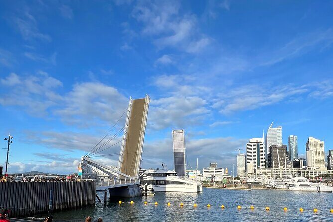 Auckland Harbour And Muriwai Black Sand Beach Private Tour - The Experience You Can Expect