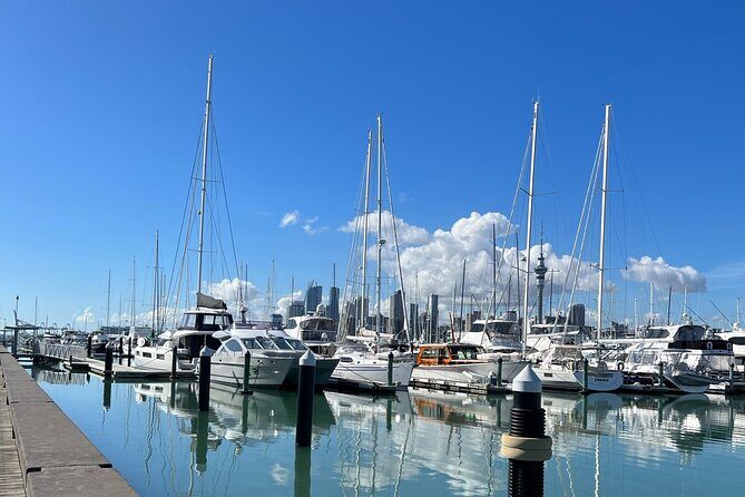 Auckland Harbour And Muriwai Black Sand Beach Private Tour - Final Thoughts: Who Is This Tour Perfect For?