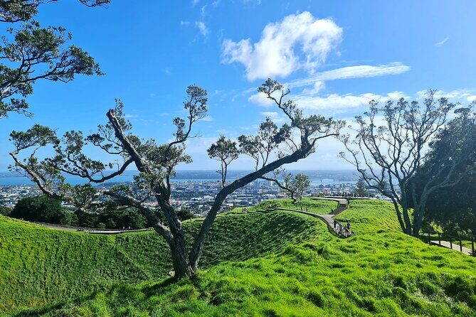 Auckland Hidden Gem Half Day Tour - A Detailed Look at the Auckland Hidden Gem Half Day Tour