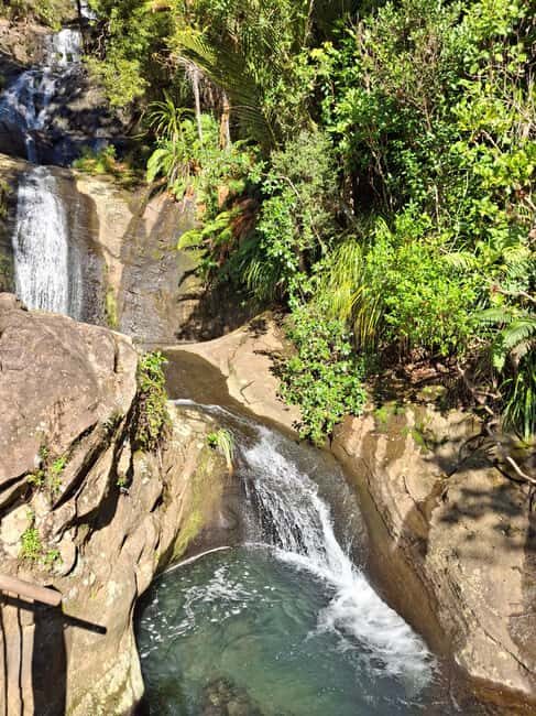 Auckland: Hiking West Auckland Rainforest & Waterfalls Tour - Key Points