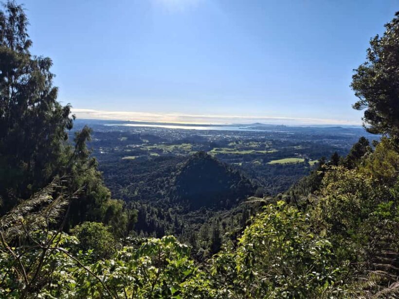 Auckland: Hiking West Auckland Rainforest & Waterfalls Tour - An In-Depth Look at the Auckland Rainforest & Waterfalls Tour