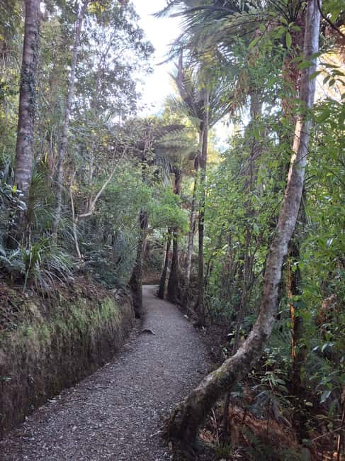 Auckland: Hiking West Auckland Rainforest & Waterfalls Tour - Authenticity and Visitor Feedback