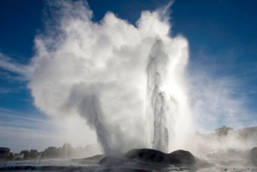 Auckland: Hobbiton and Rotorua Day Tour including Te Puia - What to Expect When Booking This Tour