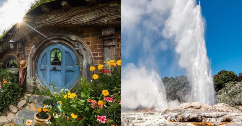 Auckland: Hobbiton and Rotorua Day Tour including Te Puia - Rotorua’s Geothermal and Cultural Treasures