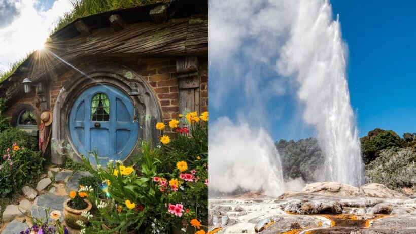 Auckland: Hobbiton and Rotorua Day Tour including Te Puia - Price and Overall Value