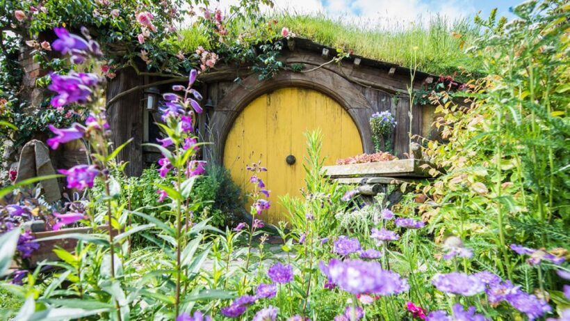 Auckland: Hobbiton and Rotorua Day Tour including Te Puia - Who Will Love This Tour?