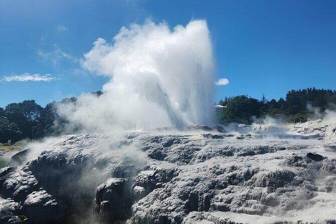 Auckland : Hobbiton & Te puia & red wood forest Private Tour - Key Points