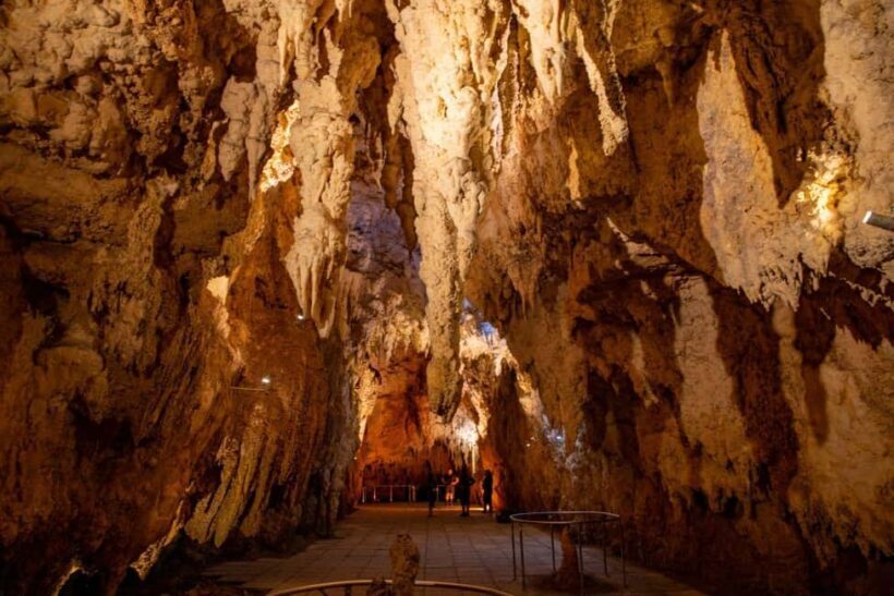 Auckland: Hobbiton, Waitomo Caves, and Rotorua 1-Way Tour - Waitomo Caves: A Natural Wonder in the Darkness