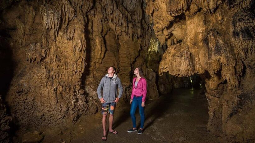 Auckland: Hobbiton, Waitomo Caves, and Rotorua 1-Way Tour - Rotorua: Geothermal and Cultural Highlights