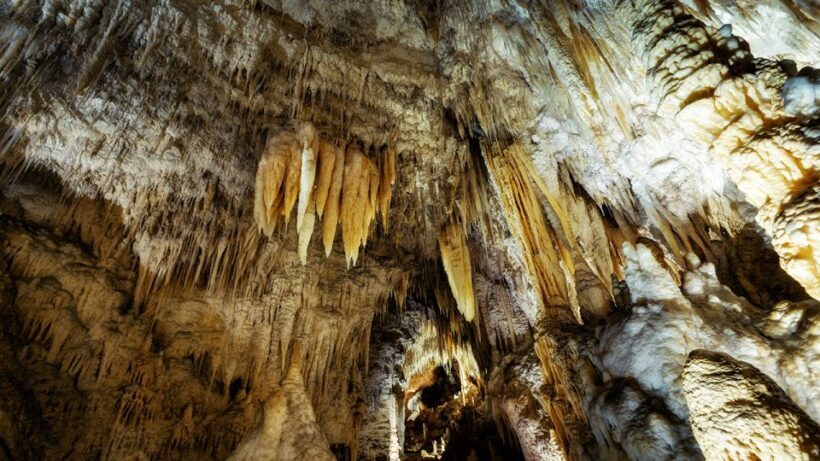 Auckland: Hobbiton & Waitomo Caves Small-Group Tour & Lunch - Key Points