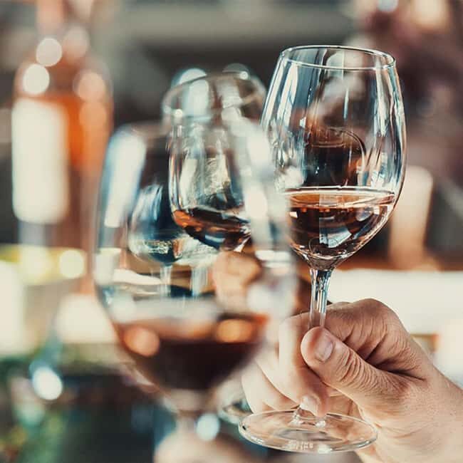 Auckland: Horseback Riding Through Vines with Wine & Dine - An Overview of the Experience
