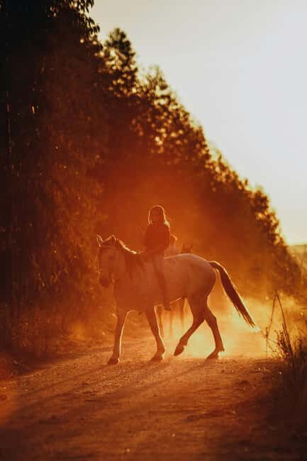 Auckland: Horseback Riding Through Vines with Wine & Dine - The Brick Bay Sculpture Trail: Art in Harmony with Nature