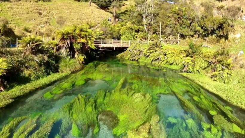 Auckland: LOTR, Hobbiton Movie Set & Hamurana Spring Tour - A Practical Introduction to the Tour