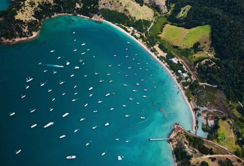 Auckland: Man O' War Vineyard Ferry (Waiheke Island) - Key Points
