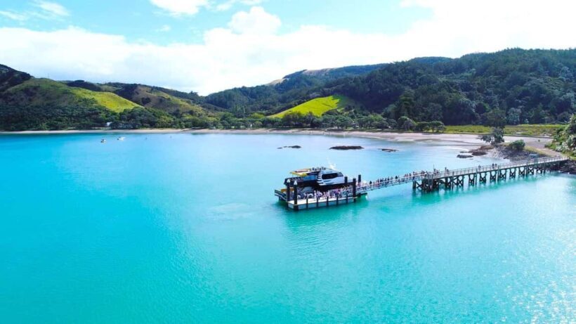 Auckland: Man O' War Vineyard Ferry (Waiheke Island) - An In-Depth Look at the Experience