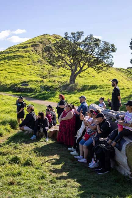 Auckland: Mori Urban Cultural Tour with Hangi Lunch - Who Will Love This Tour?