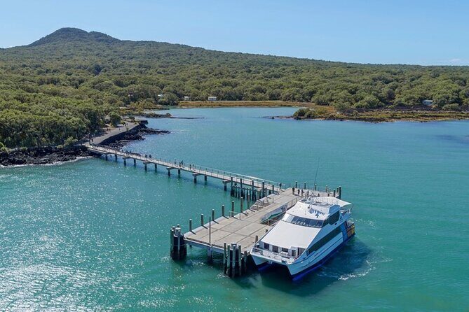 Auckland Natural Caves and Tunnels Private Tour - A Closer Look at the Itinerary