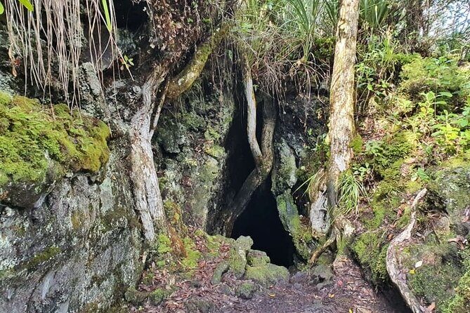 Auckland Natural Caves and Tunnels Private Tour - Who Should Consider This Tour?