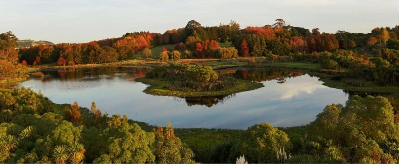 Auckland Nature Tour - The Value and Pricing