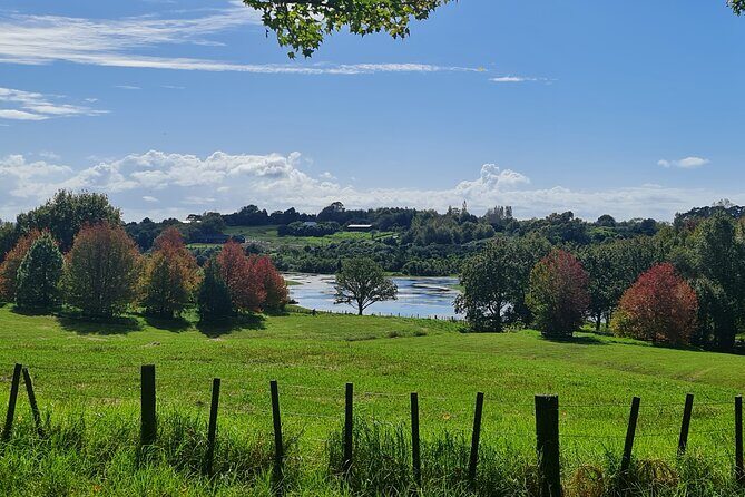 Auckland Nature Tour - The Experience: What You Can Expect