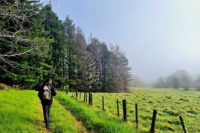 Auckland Nature Tour - The Sum Up